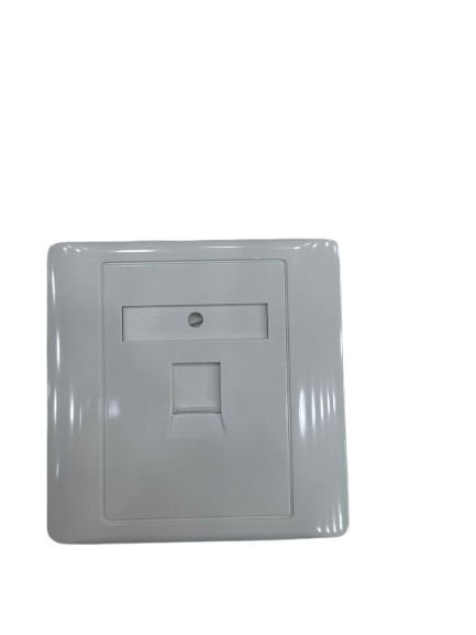 Superiortec Cat6 Single Face Plate – Maargga Technologies LLC